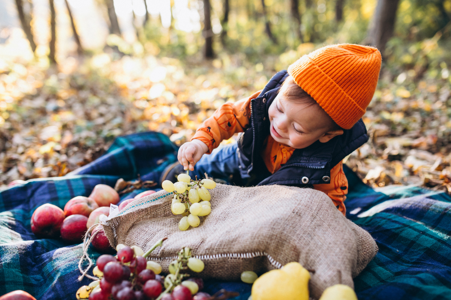Toamna, anotimpul recoltelor: când să culegi fructele - O V P